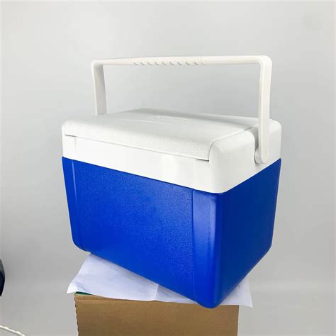 Custom Size Plastic Outdoor Portable Small Cooler Box Picnic