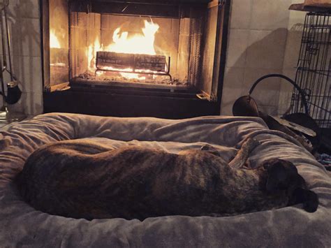 I Mostly Build These Fires During Winter So Lsp Is Cozy Scrolller