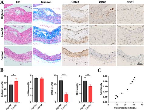Identification Of The Vulnerability Of Atherosclerotic Plaques By A Ph Ijn
