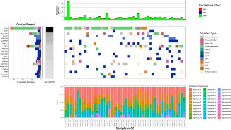 Comutplotter A Web Tool For Visual Summary Of Mutations In Cancer Worksheets Library Comutplotter A Web Tool For Visual Summary Of Mutations In Cancer Worksheets Library