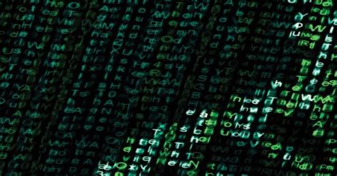 Bioinformatics And Evolution University Of Helsinki