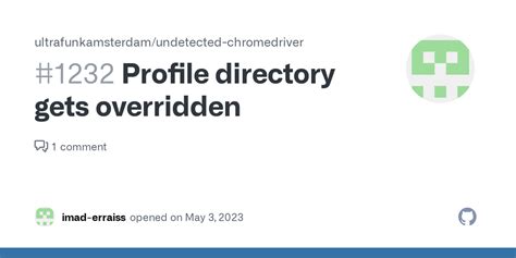 Profile Directory Gets Overridden · Issue 1232 · Ultrafunkamsterdam