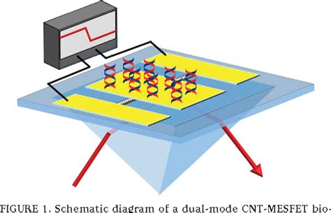 Figure 1 From Carbon Nanotube Based Dual Mode Biosensor For Electrical