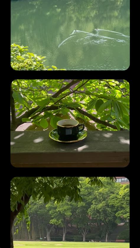 杏 梨 행 리 얼마나 맛있길래 궁금해서 만들어봤는데 진짜 맛있다 차지키소스 샌드위치 홈다이닝 Instagram