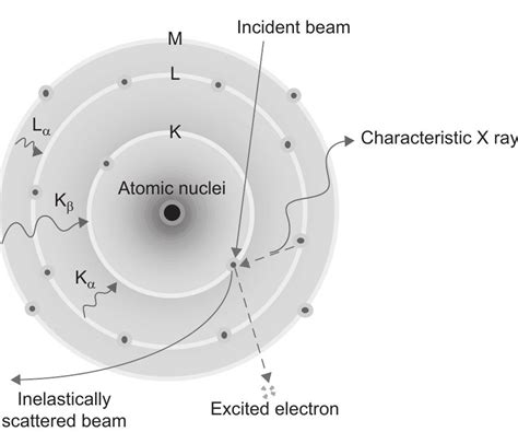 Schematic Of X Ray Origin The Incident Electron Beam Causes