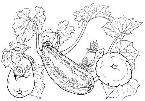 Dibujos De Verduras Para Colorear