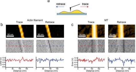 Difference In Feedback Control Error Between The Trace And Retrace