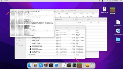 Window Not Display In `macos` With `1100 Preview 6` · Avaloniaui