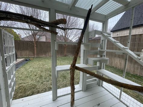 Catios For Multiple Cats Custom Outdoor Enclosures By Cat Topia