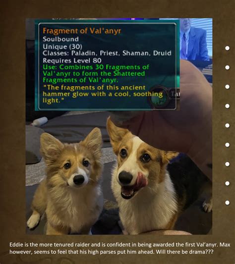 Corgi Meme Wow