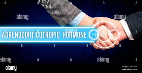Handwriting Text Adrenocorticotropic Hormone Concept Meaning Hormone