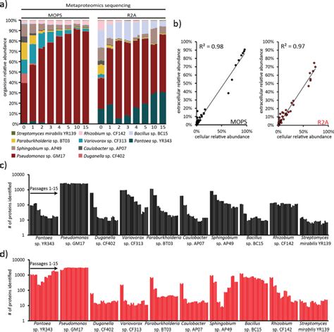 Metaproteomics Reveals Insights Into Microbial Structure Interactions