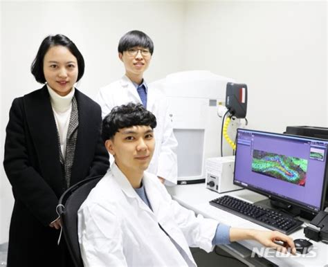 Dgist 난치성 뇌질환 치료 가능성↑···소마토스타틴 규명 파이낸셜뉴스