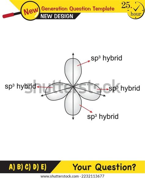 Chemistry Functional Groups Commonly Found Organic Stock Vector Royalty Free 2232113677
