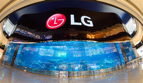 Lg Unveils World S Largest Oled Screen In Dubai Lg Newsroom
