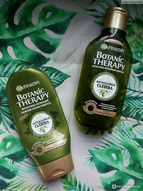 Шампунь Garnier Botanic Therapy Интенсивно питающий "Легендарная олива ...