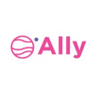 Ally 2025 Company Profile Valuation Funding And Investors Pitchbook