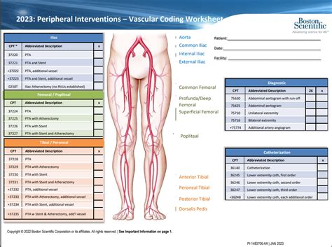 2023 Cpt Coding For Lower Extremity Angiogram And Revascularization