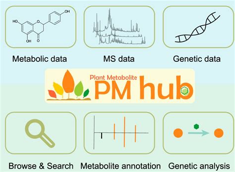 研究前沿 Nar：一个综合性的植物代谢组数据库