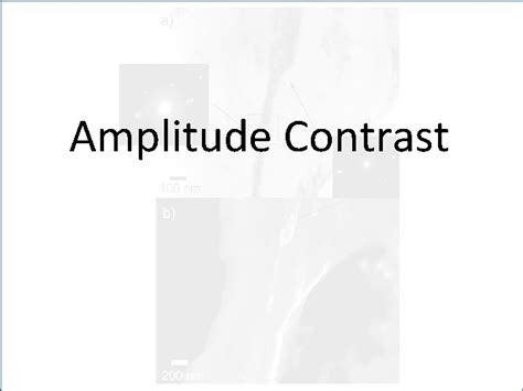 Contrast In Tem And Stem Amplitude And Phase