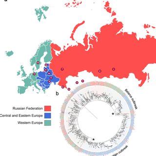 Sampling scheme of B0/W148 strains and phylogeographic expansion ...