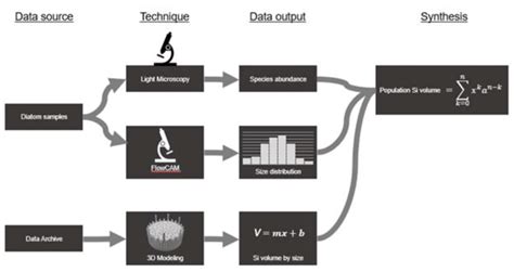 1 conceptual flow chart of the data sources analysis techniques data