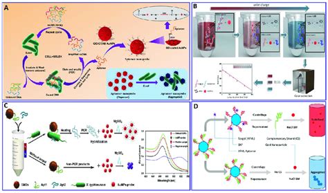A Schematic Illustration Of The Colorimetric Aptamer Sensor For E
