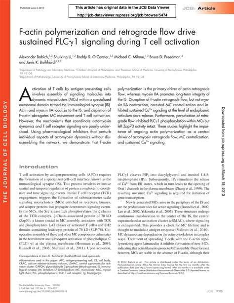 Pdf F Actin Polymerization And Retrograde Flow Drive Sustained Plc 1