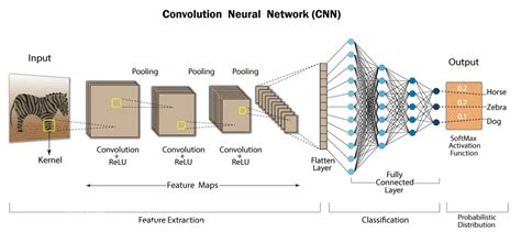 Breaking Down Ai Understanding Convolutional Neural Networks