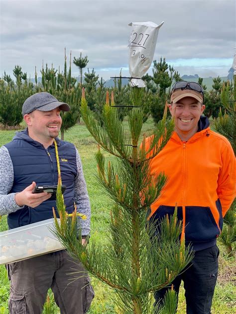 Tree Breeding Australia On Linkedin Recently Appointed Geneticist Dr