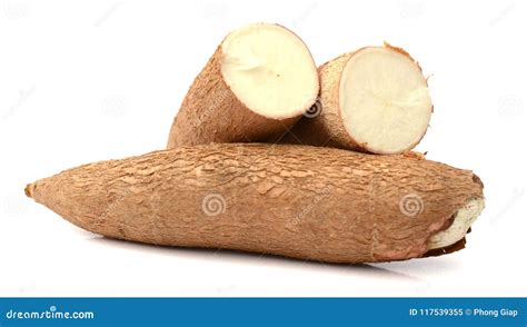 Cassava Isolated On A White Stock Image Image Of Grow Farm 117539355