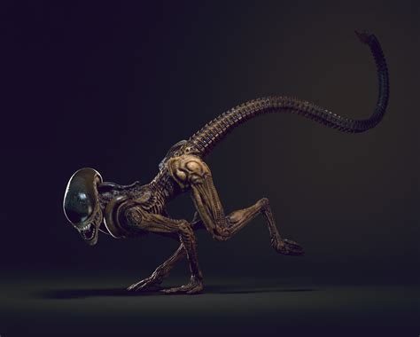 Xenomorph Runner