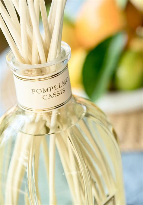 Pompelmo Cassis Diffuser 250ml Matsuya Ginza