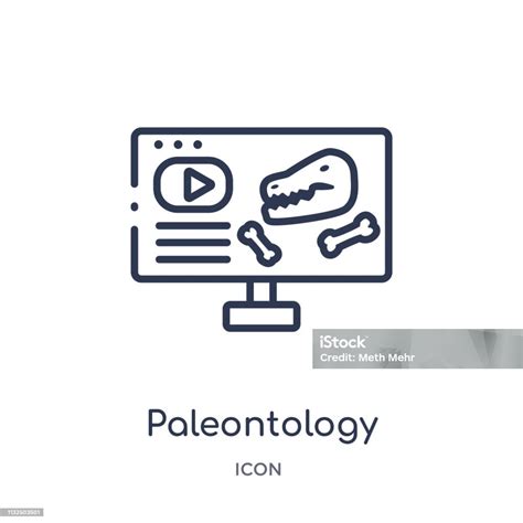 E 러닝 및 교육 개요 컬렉션의 선형 고 생물학자 아이콘 얇은 선 고 온톨로지 흰색 배경에 고립 된 벡터입니다 노년 기 유행 그림 고대의에 대한 스톡 벡터 아트 및 기타