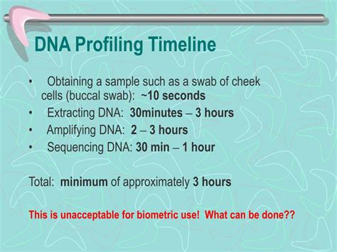 Ppt Dna As A Biometric Identifier Powerpoint Presentation Free Download Id 4619951