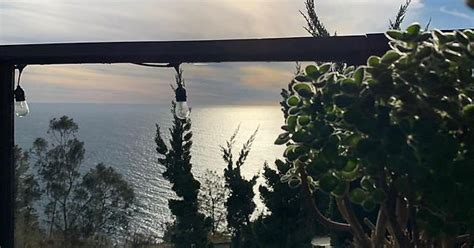 Guess Ill Order My Vi Chip Online Meme On Imgur