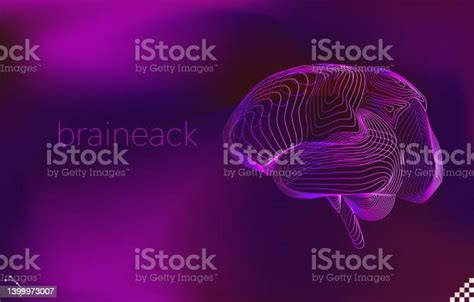 인간의 뇌 소뇌 기관 측면보기의 아름다운 라인 아트 3d 모델링 리그와 유사하게 기하학적 메쉬 라인아트에 대한 스톡 벡터 아트 및 기타 이미지 Istock