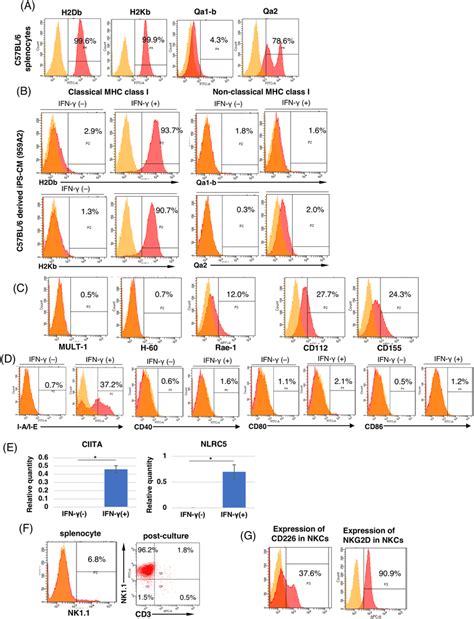 Expression Analysis Of Nkc Ligands On Ipsc Cms With Or Without Ifn γ Download Scientific