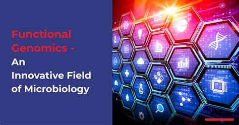 Functional Genomics An Innovative Field Of Microbiology Ubas