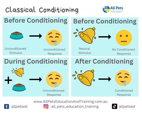 Conditioning Theory Classical Conditioning Definition And Examples