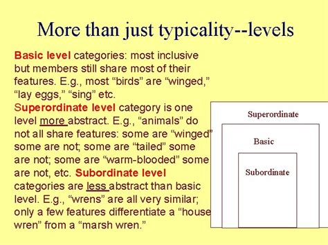 Whats In Memory Categorization The Importance Of Categorization