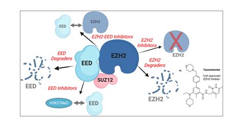 Small Molecule Approaches For Targeting The Polycomb Repressive Complex
