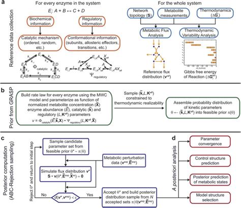 Construction Of Feasible And Accurate Kinetic Models Of Metabolism A