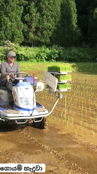 ගොයම් හැදුවා Youtube