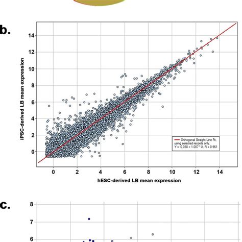 Characterization Of H9 Human Embryonic Stem Cell Hesc And Peripheral