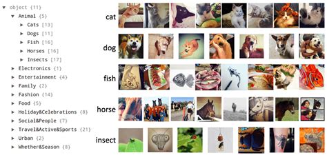 An Example Of Multi Level Hierarchical Photo Categories It Shows A 2