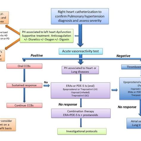 Diagnostic Algorithm For Approaching Patients With Suspected High