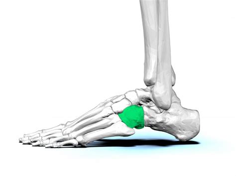 Feet Cracking Bones At Willard Corey Blog