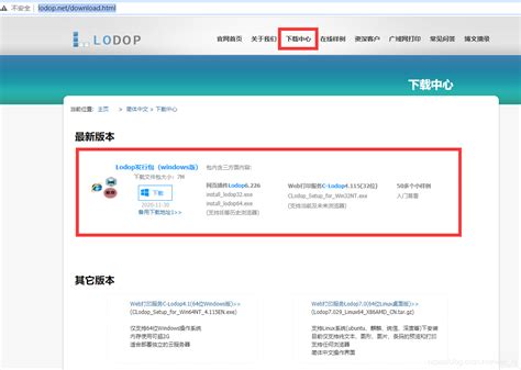 vue 项目中使用lodopfuncs （浏览器控制打印机） csdn博客