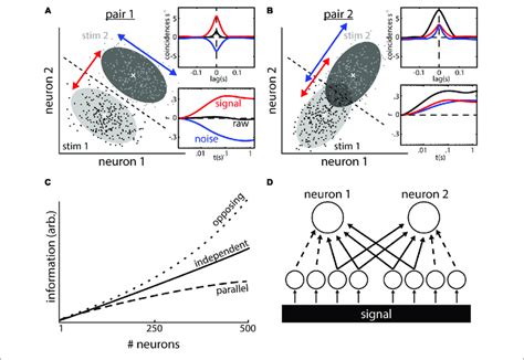 types of neural correlations and their impact on population coding